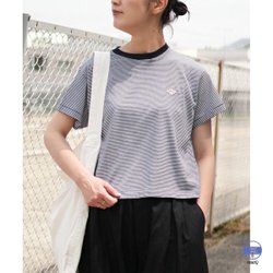 단톤 여성 반팔 스트라이프 티셔츠 6종 25SS DT-C0408CVT - SSG.COM