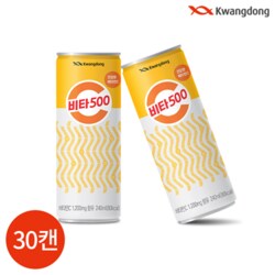 광동 비타500 240ml x 30캔 - SSG.COM
