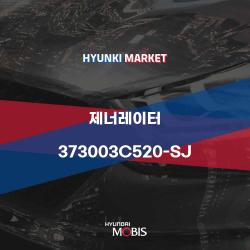 제너레이터 (373003C520-SJ) - SSG.COM