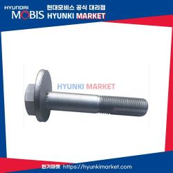 볼트캠 (552603M000) - SSG.COM