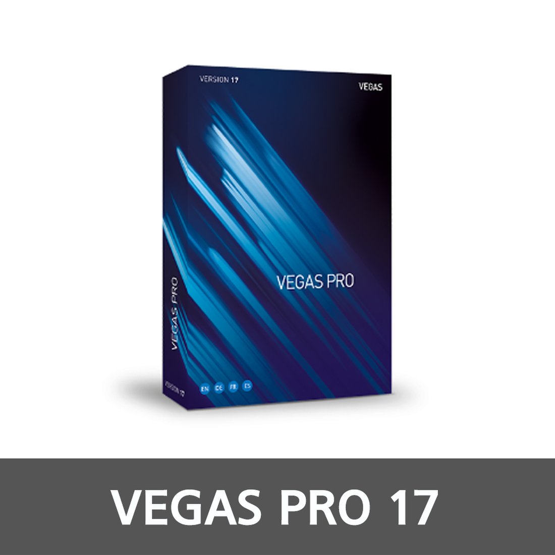Vegas Pro 17 교육용 한글 ESD / 영구사용 / 베가스 프로 17 한글 / 전문가용 영상편집 프로그램, 신세계적 쇼핑 ...