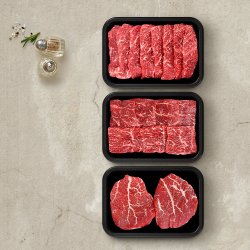 [바로배송][투뿔한소] 한우 1++등급(7이상) 구이모둠 600g (보섭살+설깃살+우둔살) - SSG.COM