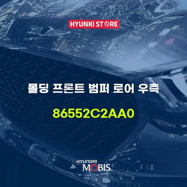 현대모비스몰딩 프론트 범퍼 로어 우측 (86552C2AA0) - SSG.COM