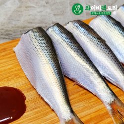 고흥 자연산 전어회 1kg (손질 후 560g) - SSG.COM