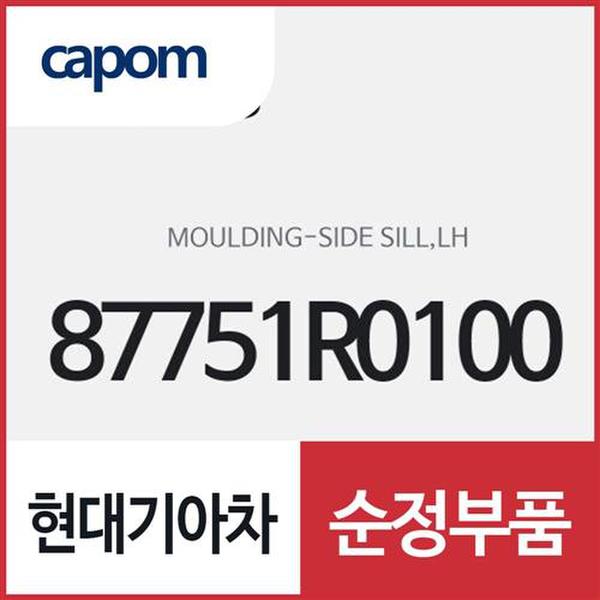 사이드 실 몰딩,좌측(운전석쪽) (87751R0100) 카니발 - SSG.COM