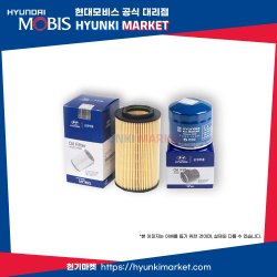 포터2 디젤 21년 이후 엔진오일 필터 (263604A900) - SSG.COM