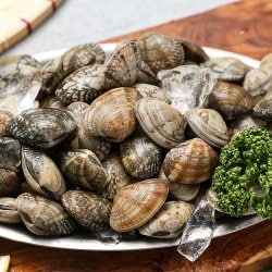 감칠맛이 풍부한 제철 백생합 백합조개 2kg - SSG.COM