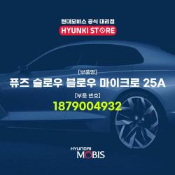 퓨즈 슬로우 블로우 마이크로 25A (1879004932) - SSG.COM