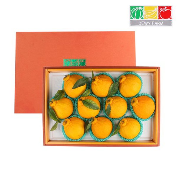 델피아 과일 한라봉 선물세트(10수/3.7kg내외) - SSG.COM