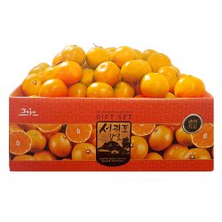 제주 달콤 노지감귤 5kg 로얄/소과(2S-M랜덤)/실중량 - SSG.COM