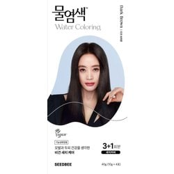 씨드비 물염색 다크브라운 40g (4회분) - SSG.COM