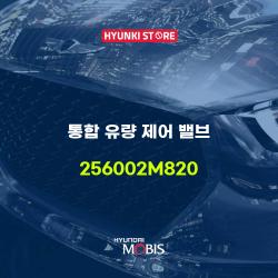 현대모비스통합 유량 제어 밸브 (256002M820) - SSG.COM