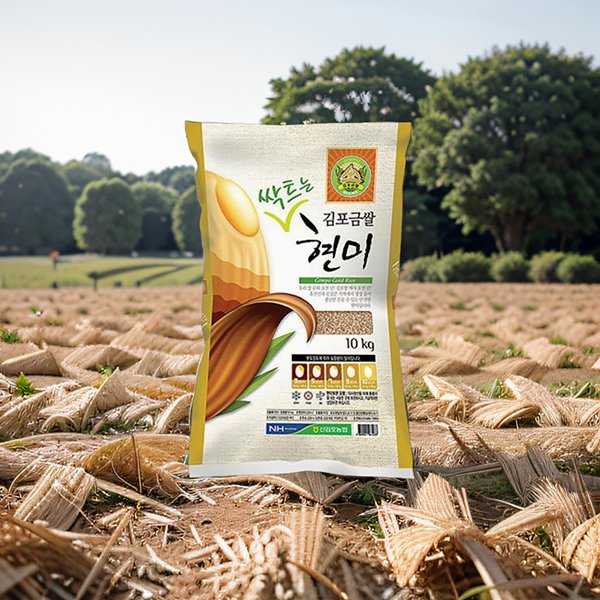 신김포농협 추청현미 10kg - SSG.COM
