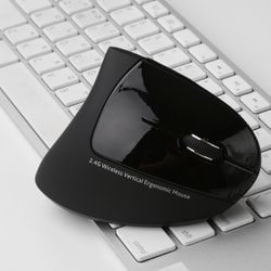 TG삼보 TG-TM137G 인체공학 버티컬 무선마우스 블랙 - SSG.COM