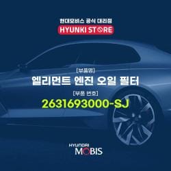 엘리먼트 엔진 오일 필터 (2631693000-SJ) - SSG.COM