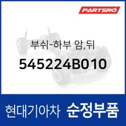 부쉬-하부 암,뒤 (545224B010) 리베로, 포터, 포터2, 포터2 일렉트릭, 포터2 특장 - SSG.COM