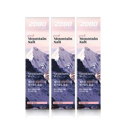 2080 퓨어마운틴 히말라야 핑크솔트 치약 3ea - SSG.COM