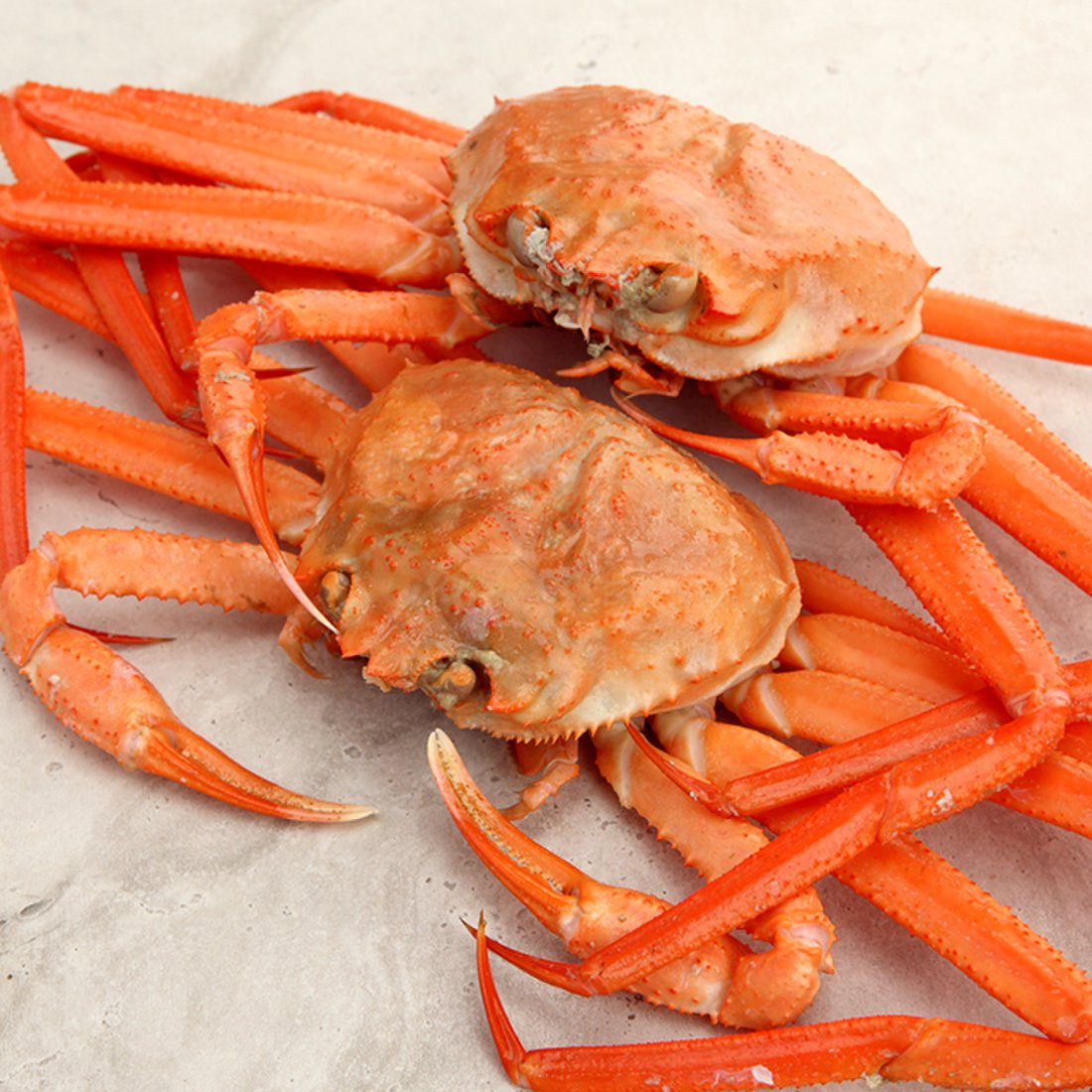 [오초록] 포항 구룡포 자숙 붉은대게(홍게) 자숙 전 2.1kg(소자 10마리) / 마리당 - 자숙전 210g 자숙후 150g 내외, 수율 70~80%, 믿고 사는 즐거움 ...