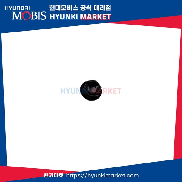 프렌지 너트셀프 락킹 (5455926000) - SSG.COM