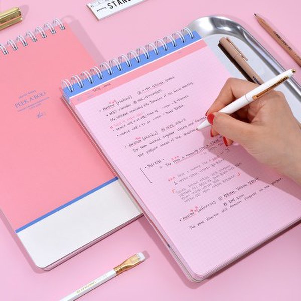 피카부 B5 상철 스프링 컬러 노트 - SSG.COM