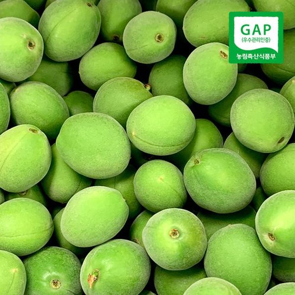 [GAP인증] 순천 청매실 10kg - SSG.COM