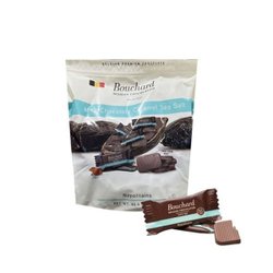 [코스트코] BOUCHARD 카라멜 씨솔트 초콜릿 1.3kg - SSG.COM