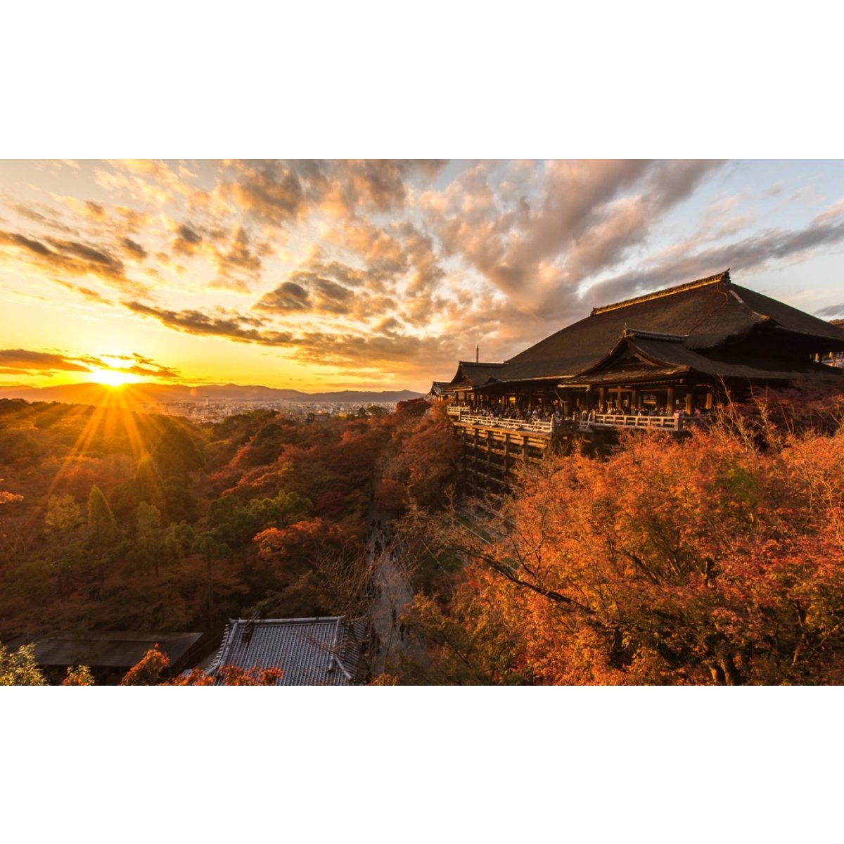 [스마트초이스] 오사카/나라/고베 + USJ 4일 대욕장즐기기 즐거움가득 유니버셜스튜디오 세계문화유산동대사 사슴공원 나라마치마을 오사카성공원 낭만고베 주조기념관사케시음 ...