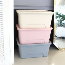 파스텔 리빙박스 56L 2개 - SSG.COM