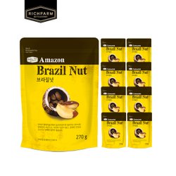 브라질넛 270g x 9봉 - SSG.COM