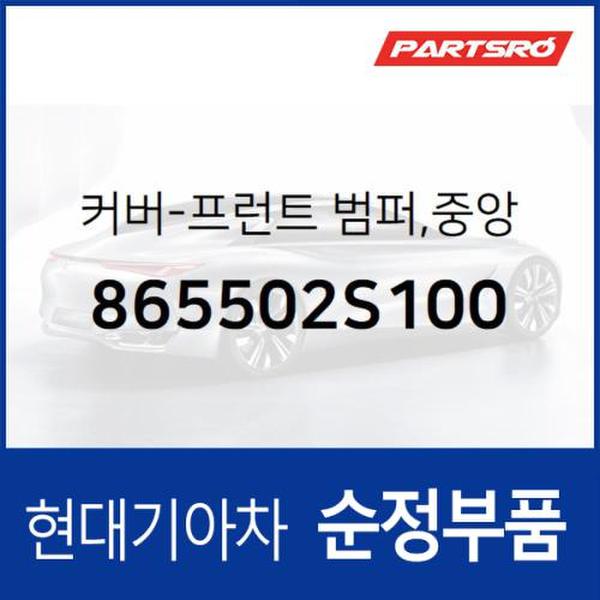 프론트 범퍼 커버,중앙 (865502S100) 투싼ix 현대모비스 부품몰 - SSG.COM