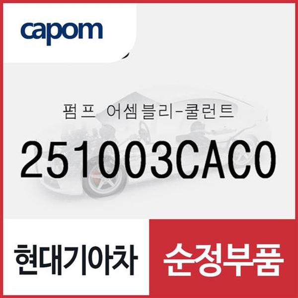 쿨런트 펌프(워터펌프) (251003CAC0) 더뉴 카니발, 제네시스, 제네시스 G80, 제네시스 EQ900, 제네시스 G90 ...