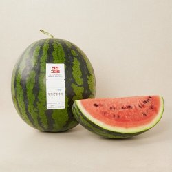 당도선별 수박 6~7kg미만 - SSG.COM