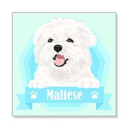 (SM)DIY그리기 페인팅 해피 말티즈 25X25 - SSG.COM