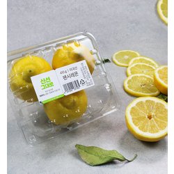 미국산 팬시레몬 3입 410g (팩) - SSG.COM