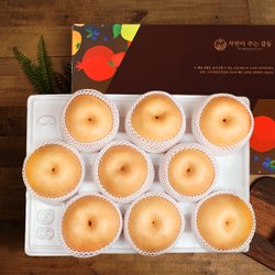 나주배 7.5kg 7-10과 가정용/상품 - SSG.COM