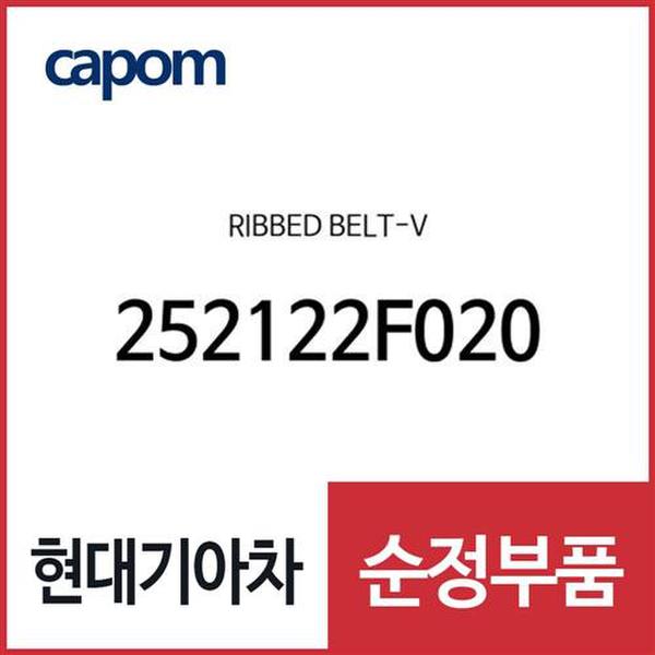 리브드 벨트-V (252122F020) 더뉴 카니발 - SSG.COM