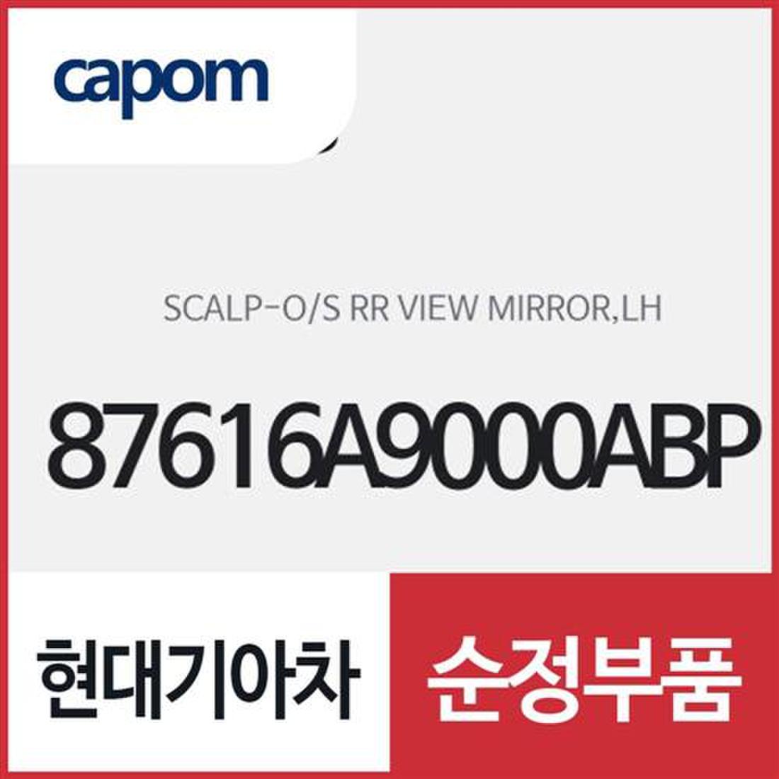 사이드미러 커버,운전석쪽 (87616A9000ABP) 카니발, 믿고 사는 즐거움 SSG.COM