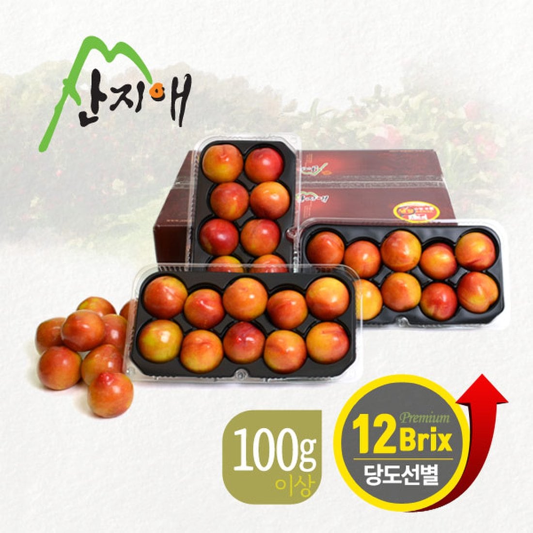 산지애 더 달콤한 당도선별 포모사 왕자두 3kg 1box, 믿고 사는 즐거움 SSG.COM