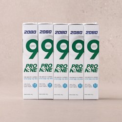 2080프로나인 후레쉬 130g x 5개 - SSG.COM