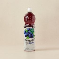 자연은 블루베리 1.5L - SSG.COM