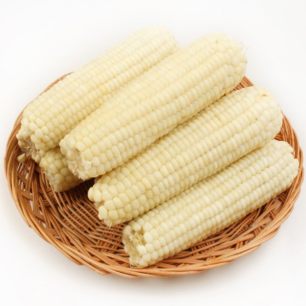 [자연속애] 중국산 냉동 찐 백찰옥수수 20개(16-18cm내외) - SSG.COM