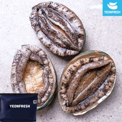 완도활전복 10-11미 1.5kg 총16미(미당85~95g내외) - SSG.COM