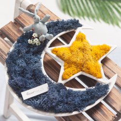 스칸디아별달수반set 26cm P - SSG.COM