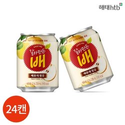 해태 갈아만든 배 238ml x 24캔 - SSG.COM