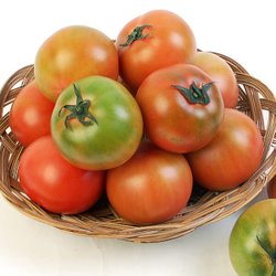 [두레]대저토마토 2.5kg(2S_S) - SSG.COM