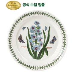 중접시(D) 1p(BG) - SSG.COM