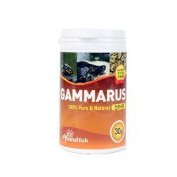 영양 고단백질 거북이사료 열대어사료 30g - SSG.COM