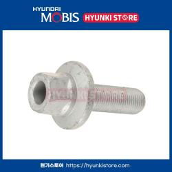 볼트크랭크샤프트 (231273C101) 현대모비스부품몰 - SSG.COM