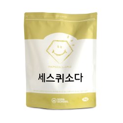 세스퀴소다 대용량 3kg - SSG.COM