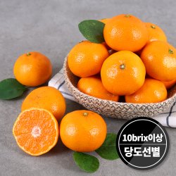 새콤달콤 제주 감귤 5kg 2S-M 로얄과 - SSG.COM